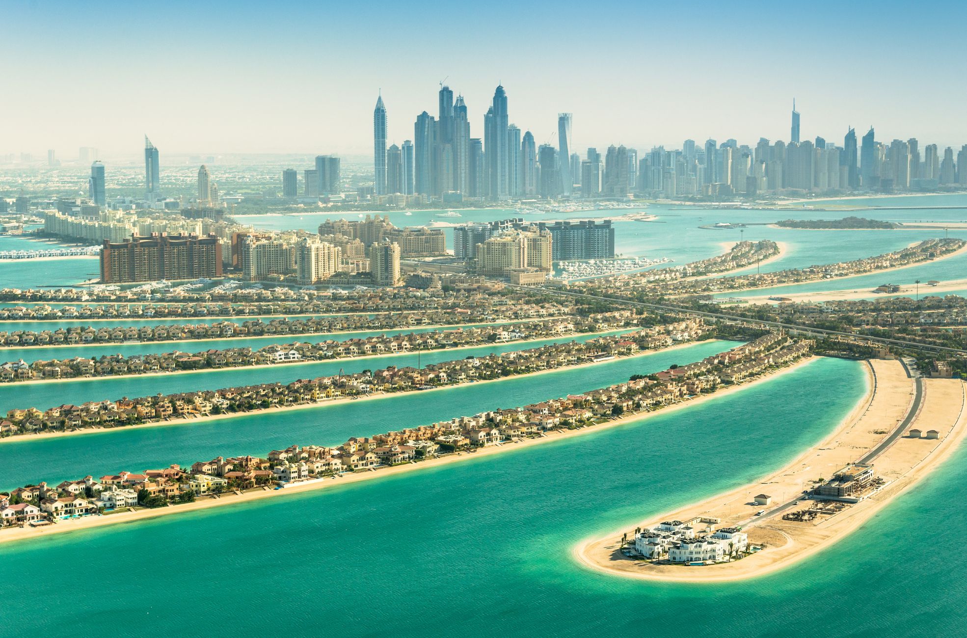 What is an Establishment Card? | DUQE