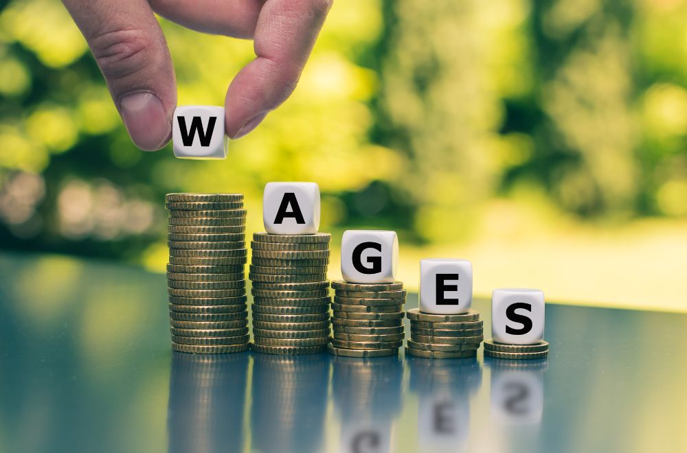 The Wage Protection System (WPS) in the UAE | DUQE